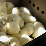 Industries Served by IWM International - IWM International